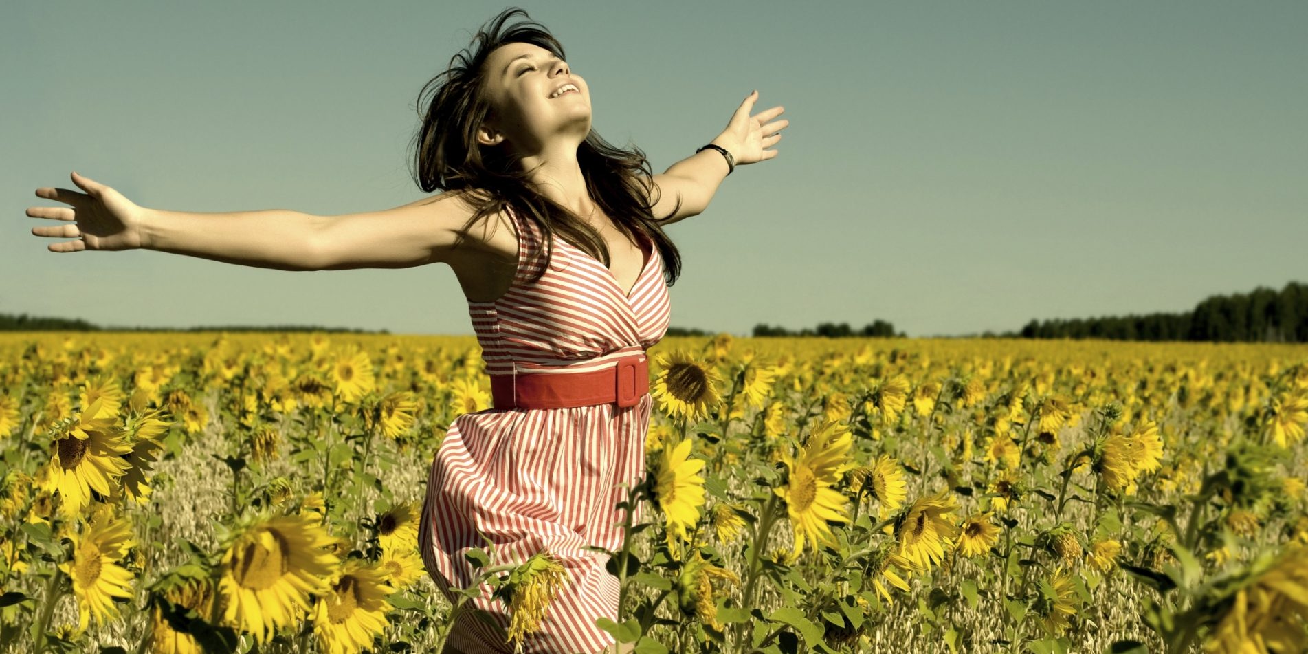 ¿sabes Qué Es La Resiliencia ¿quieres Aprender A Ser Más Resiliente